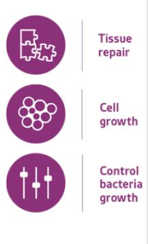 Buy Promogran Prisma Matrix Wound Dressing | Systagenix Dressing